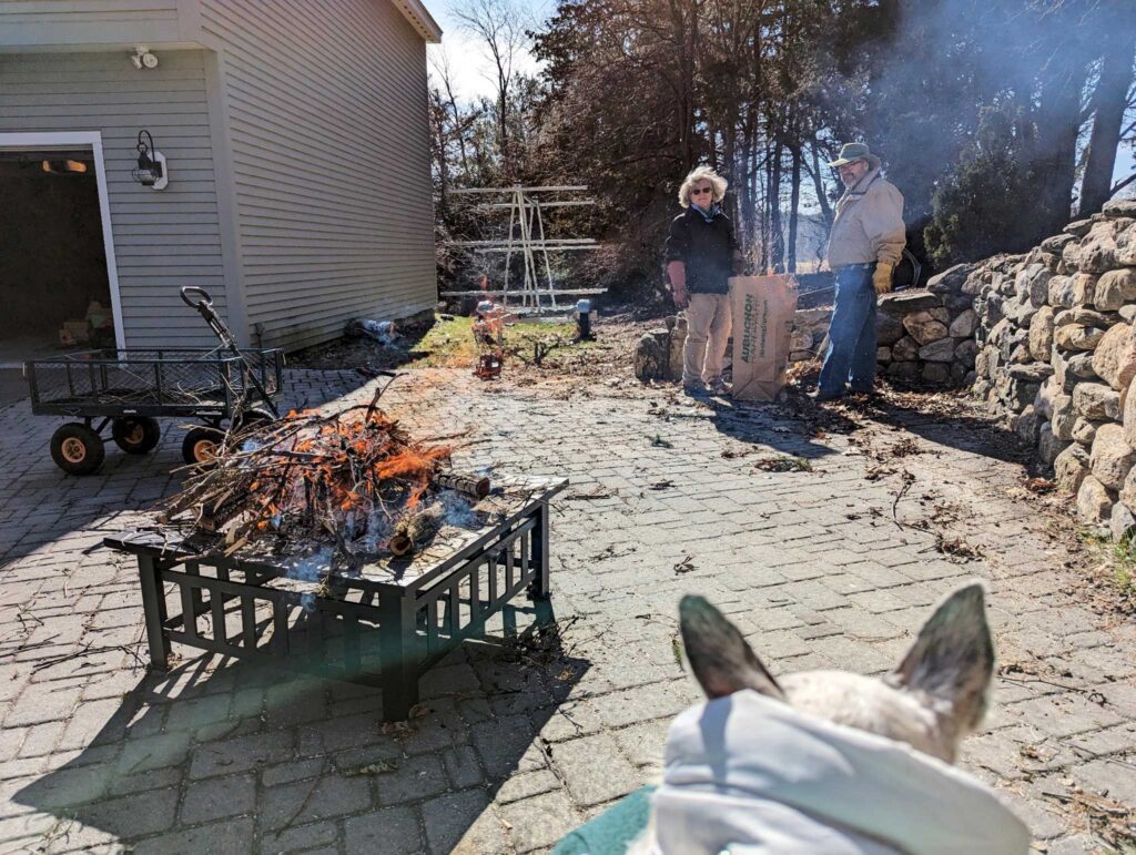 Late March 2023 – Mark Moeller's Blog