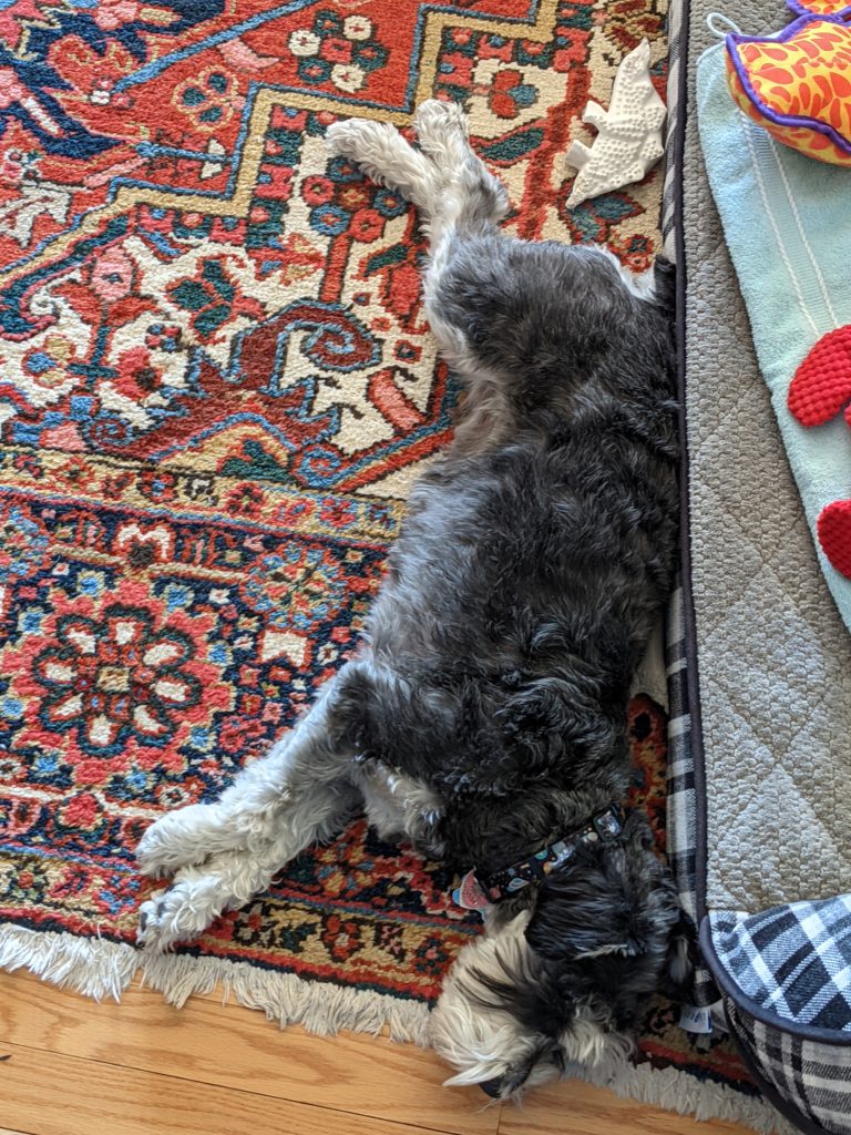 First Day of Spring 2021 – Mark Moeller's Blog